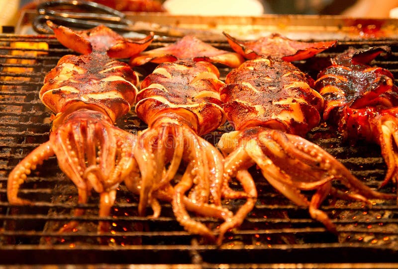 Kalmar stockbild. Bild von seafood, calamari, kochen - 29894719