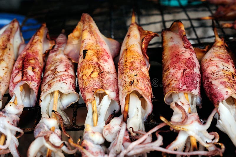 Gegrillter Kalmar stockfoto. Bild von calamari, koch - 20499108