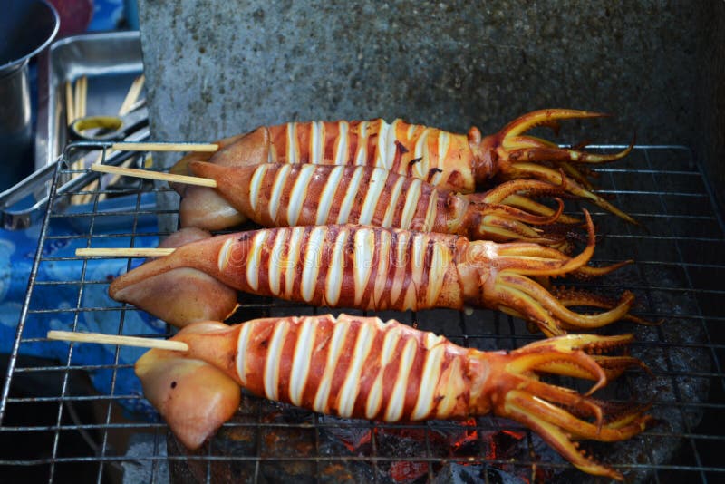 Gegrillter Kalmar, Thailand-Lebensmittel - Grill Von Den Kalmaren ...