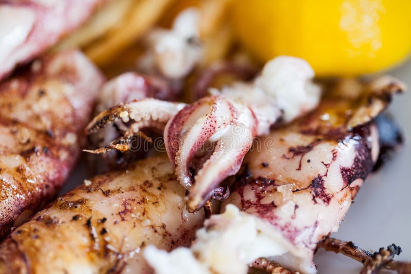 Gegrillter Kalmar Mit Zitrone Stockbild - Bild von zitrone, teller ...