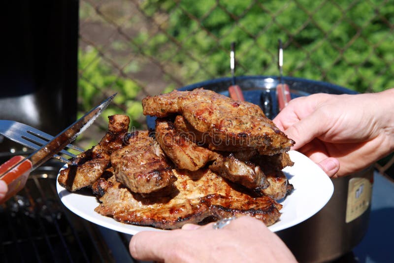 Gegrilltes Fleisch stockbild. Bild von brand, flamme - 11254465