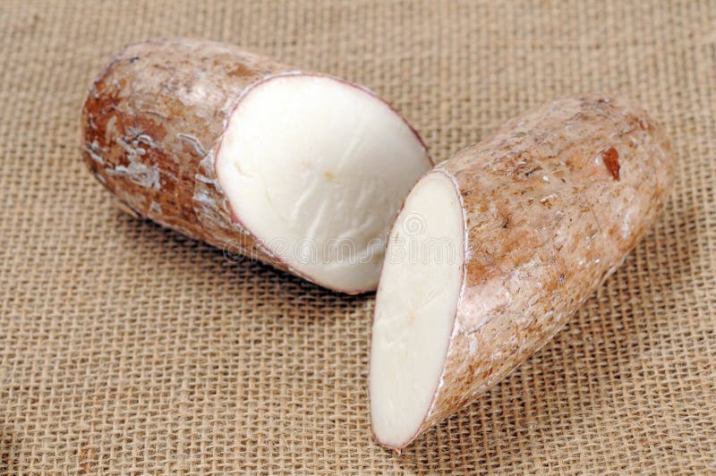 Gehackte Manioka stockbild. Bild von wurzel, lang, yuccapalme - 31906799