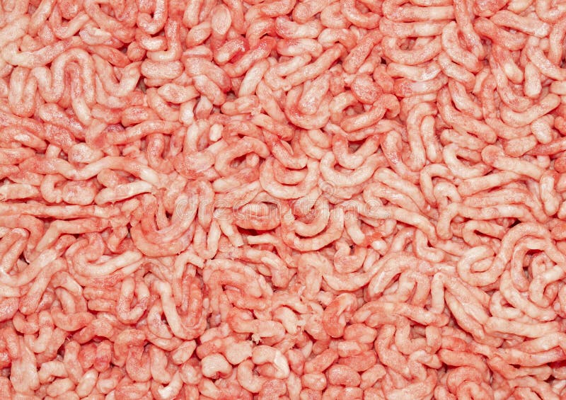 Gehacktes Rindfleisch stockbild. Bild von mageres, feinschmecker - 23481639