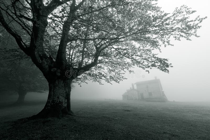 Eng Huis in Geheimzinnig Verschrikkingsbos Bij Nacht in Zwarte En Wh ...