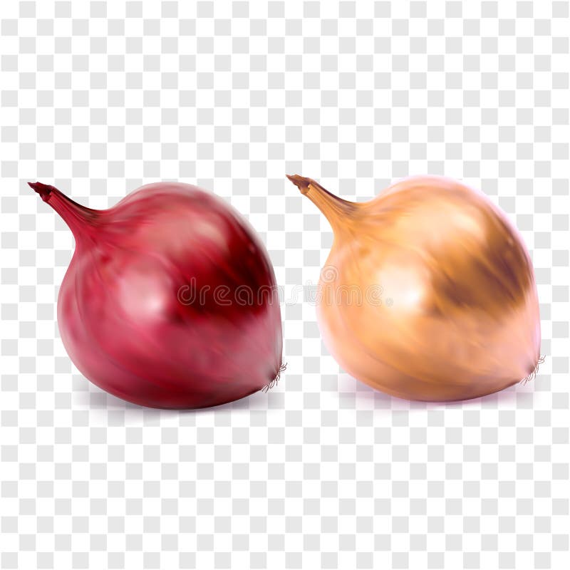 Gehele Bol Rode Ui Met Verse Groene Spruit, Halve Ringen Op Witte ...