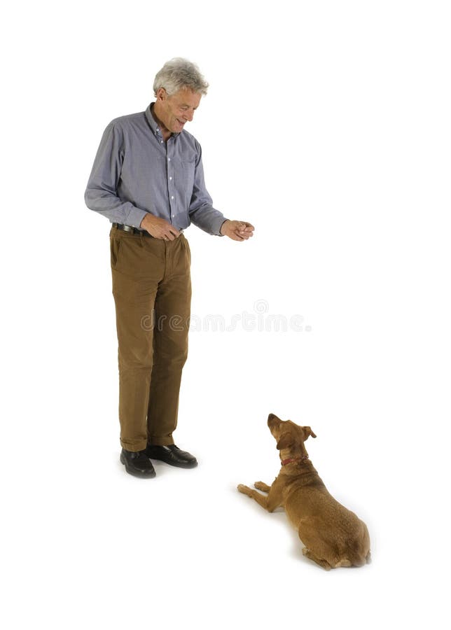 Gehorsam stockfoto. Bild von kreuzung, befehl, fleisch - 3231288