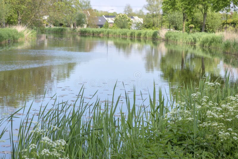 The Gein River at Abcoude the Netherlands 5-5-2024 Editorial Stock ...