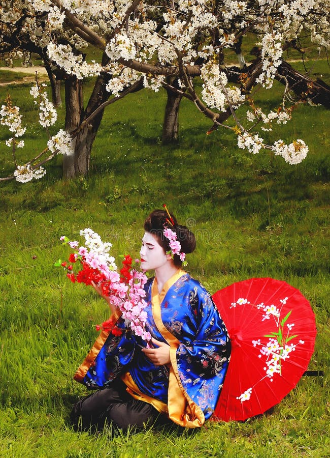 Geisha stock photo. Image of geisha, cherry, oriental - 31202232
