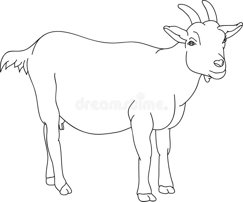 Geit met banner vector illustratie. Illustration of vector - 35389535