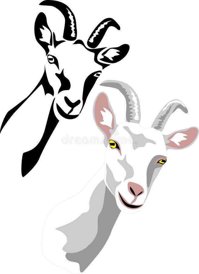 Geit vector illustratie. Illustration of dier, fauna, milieu - 2714849