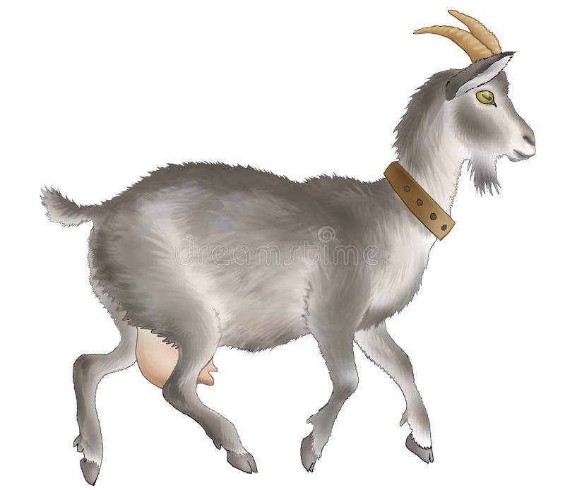 Geit stock illustratie. Illustration of hoorn, melken - 5381205