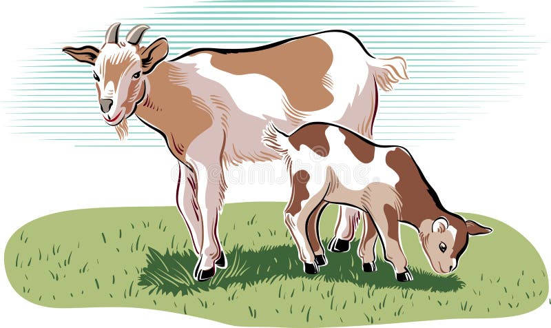 Geiten Het Oosterse Inkt Schilderen, Sumi-e Stock Illustratie ...