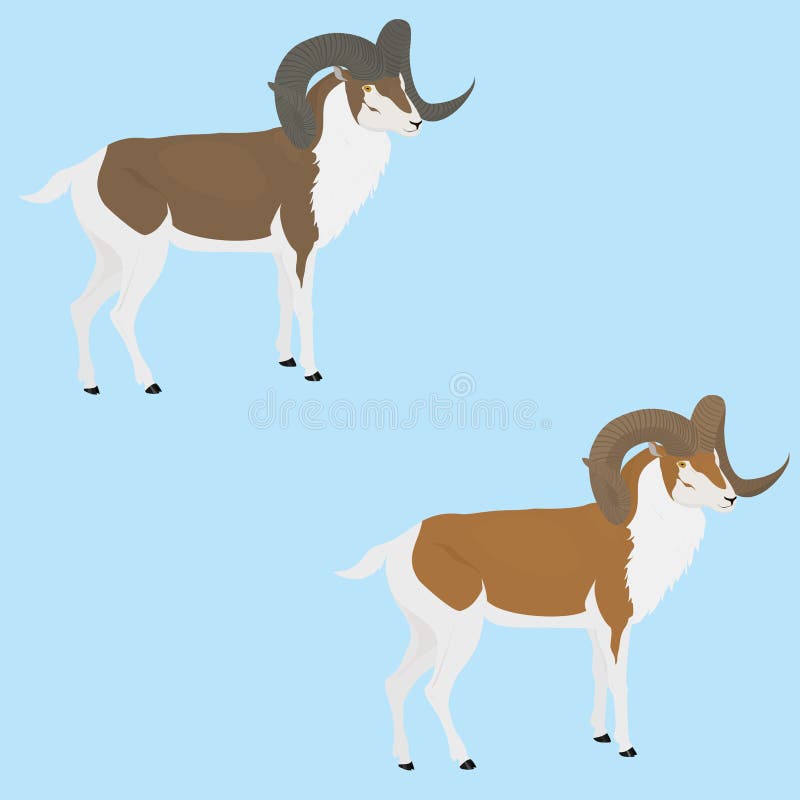 Geit met lange hoorn vector illustratie. Illustration of baard - 43328058