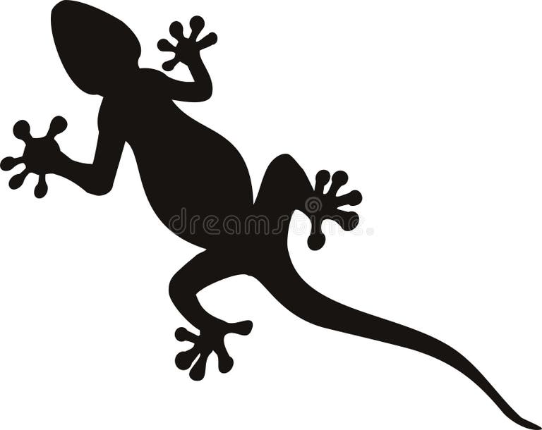 De Gekko Tekening Van Stock Illustrations, Vectors, & Clipart – (3,224 ...