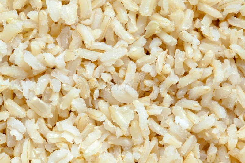 Gekochter brauner Reis stockbild. Bild von frech, diät - 98406957
