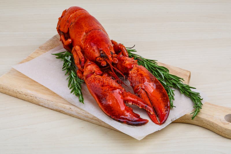Gekochter Atlantischer Hummer Stockbild - Bild von schale, teller: 72663431