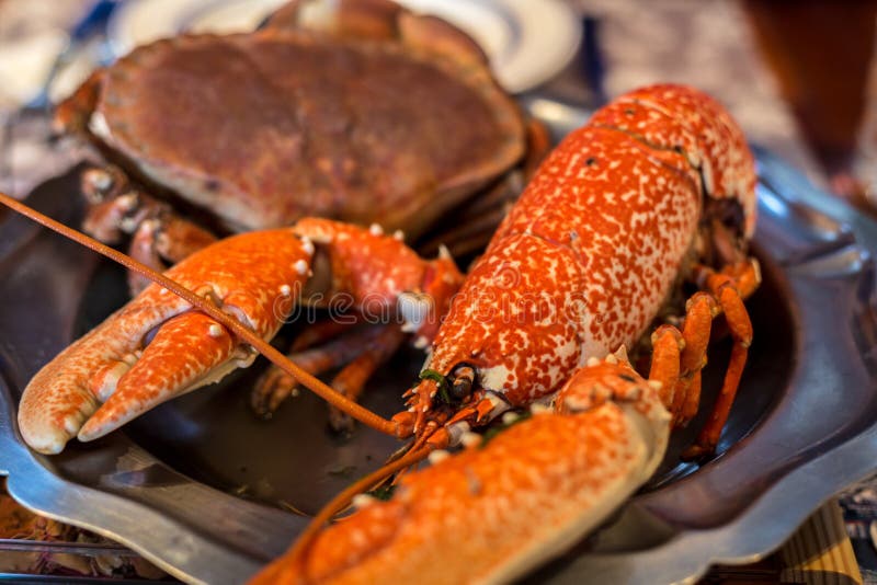 Gekochte Krabbe und Hummer stockbild. Bild von hummer - 31308701