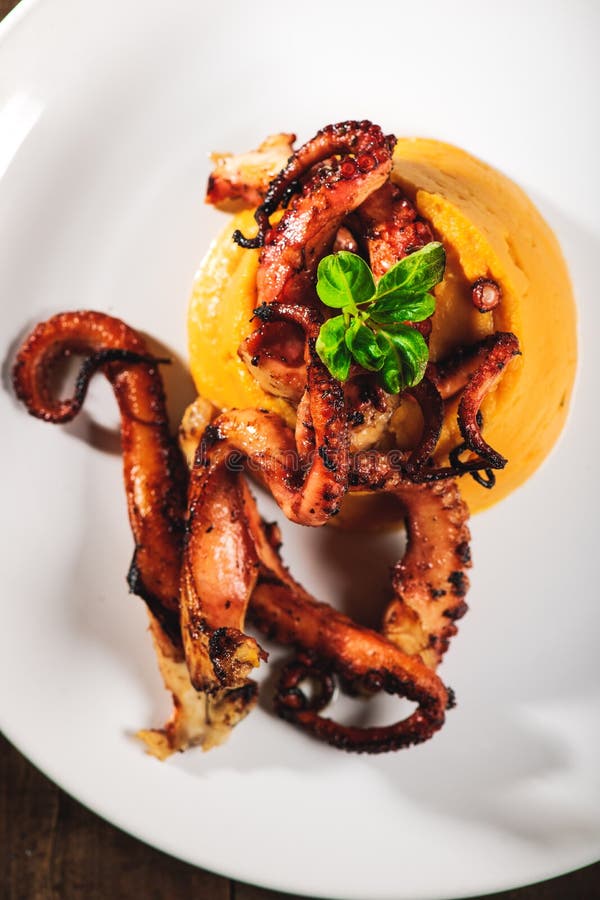 Gekookte octopus met brood stock foto. Image of gezond - 61388916