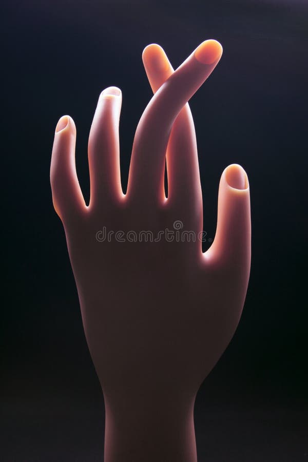 Gekreuzte Finger stockbild. Bild von antrag, studio, hand - 28222377