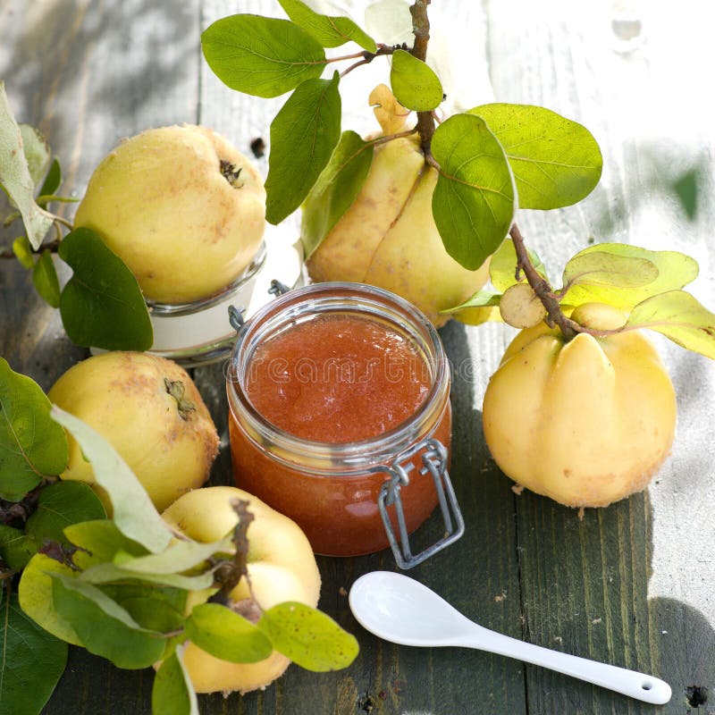 Confiture De Coing Avec Le Fruit De Coing Et Et Le Gingembre Photo ...