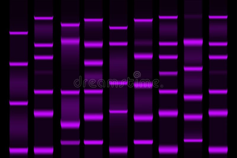 Gel Electrophoresis Separation Electrophoretogram Stock Vector ...