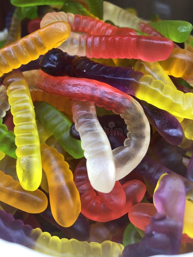 Blueberry worms stock photo. Image of close, blueberry - 75358766