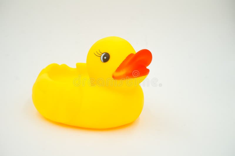 Gelbe Ente stockbild. Bild von gelb, schnabel, ente, tier - 55000087