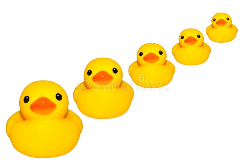 Gelbe Ente lokalisiert stockbild. Bild von küken, schwimmbad - 77689583