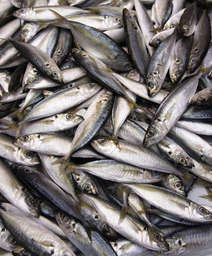 Gelbe Flossen-Fische stockfoto. Bild von protein, küche - 29293208