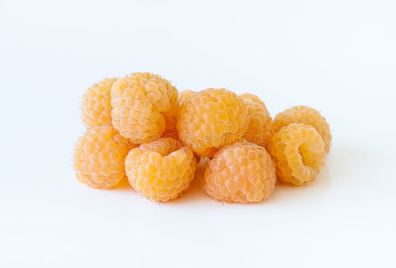 Gelbe Himbeeren stockfoto. Bild von hell, frisch, zweig - 33261284