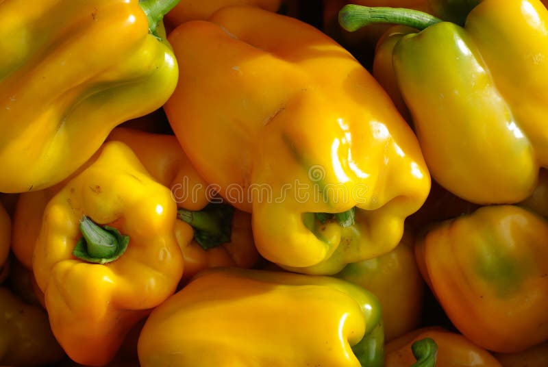 Frische Gelbe Jalapeno-Pfeffer Aus Freiem Plastik Heraus Stockfoto ...