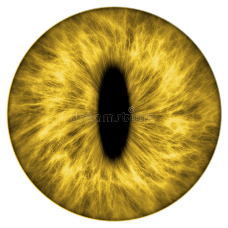 Gelbes Tierauge Mit Kleinem Schüler Und Der Schwarzen Retina Dunkle ...