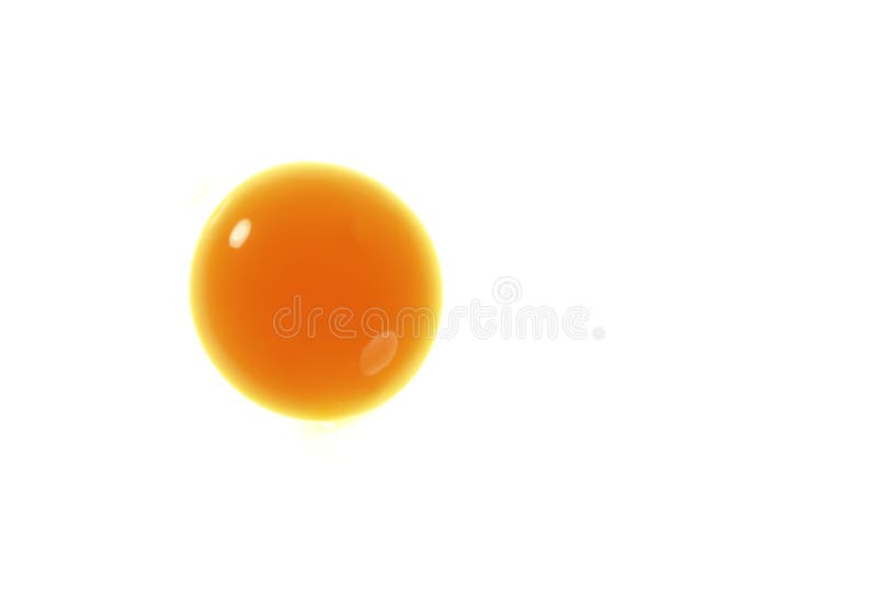 Gelbes Eigelb Des Eies Getrennt über Weiß Stockfoto - Bild von tier ...