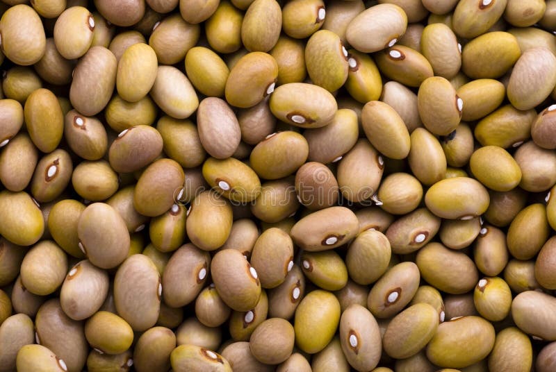 Gele bonen stock afbeelding. Image of landbouw, gezond - 13280881