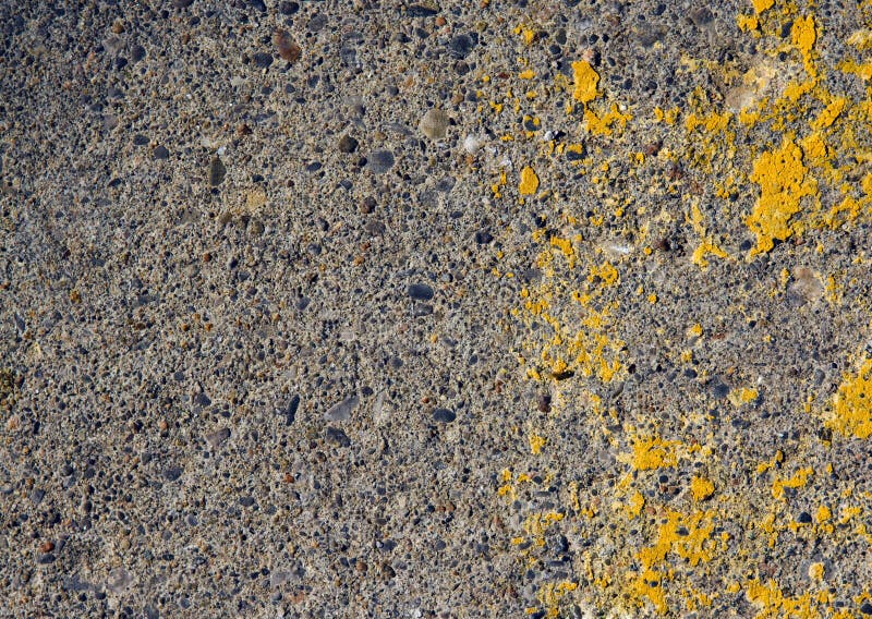 Gele En Grijze Steen Geweven Achtergrond Stock Foto - Image of ...