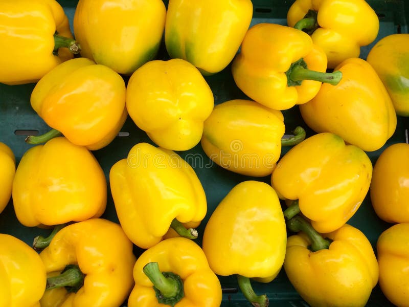 Gele Groene paprika stock afbeelding. Image of klok, thailand - 61407669