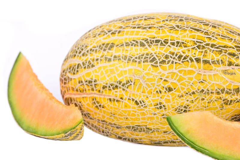 Gele meloenschil stock foto. Afbeelding bestaande uit fruit - 59224320