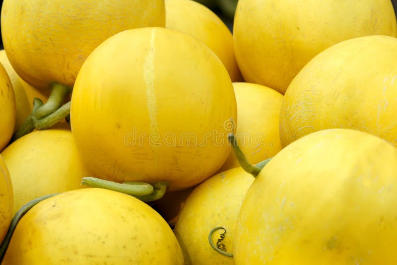 Gele meloenen stock afbeelding. Image of vrucht, macro - 19635365