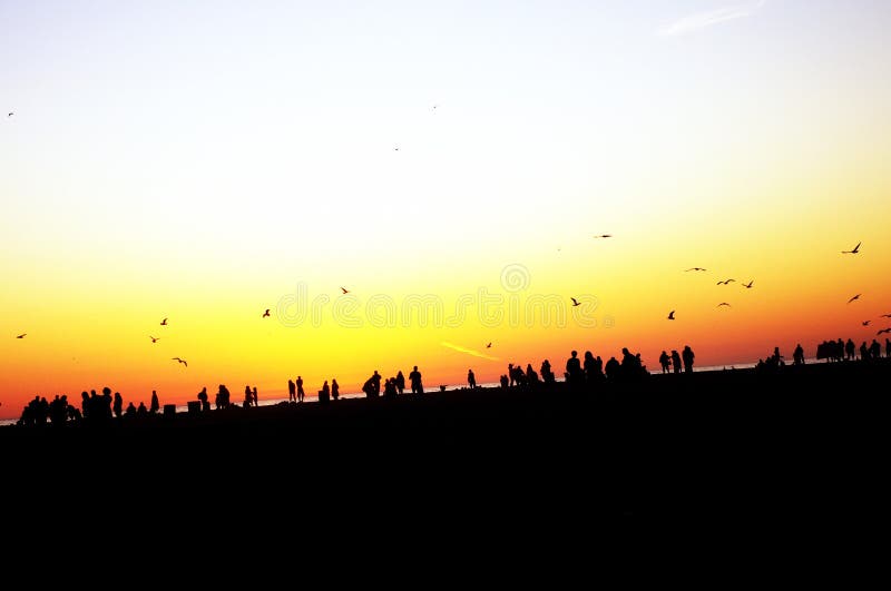 Gele Mensen stock foto. Image of strand, mensen, hemel - 13050054