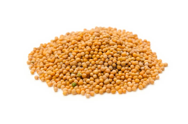 Gele mosterdzaden stock foto. Image of aroma, ingrediënten - 17124268