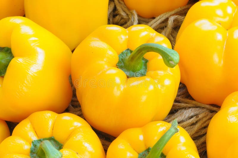 Gele Paprika's in Landbouwbedrijven. Stock Afbeelding - Image of oogst ...