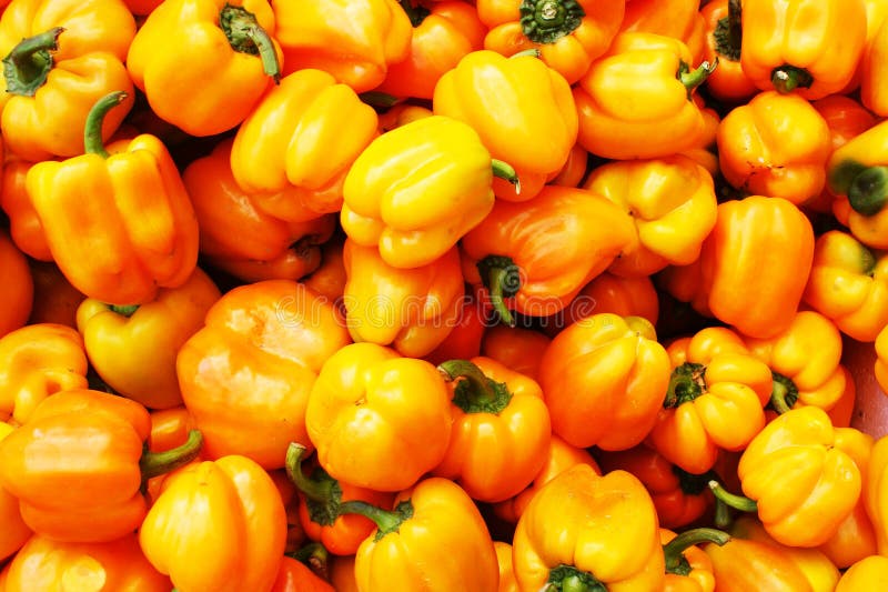 Gele peper stock afbeelding. Image of multi, gekleurd - 48213679