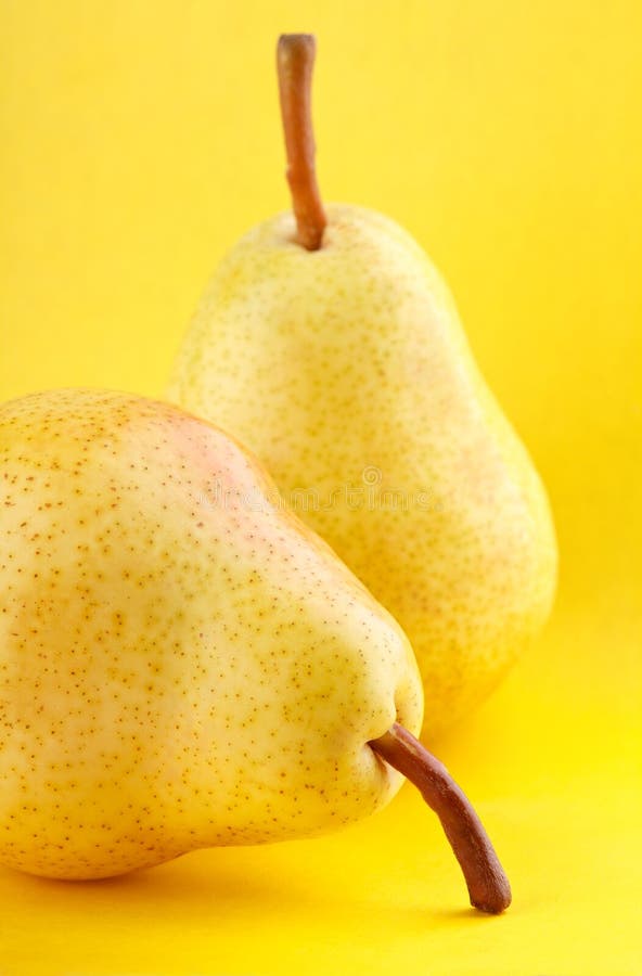 Gele peren stock afbeelding. Image of stam, installatie - 19380949