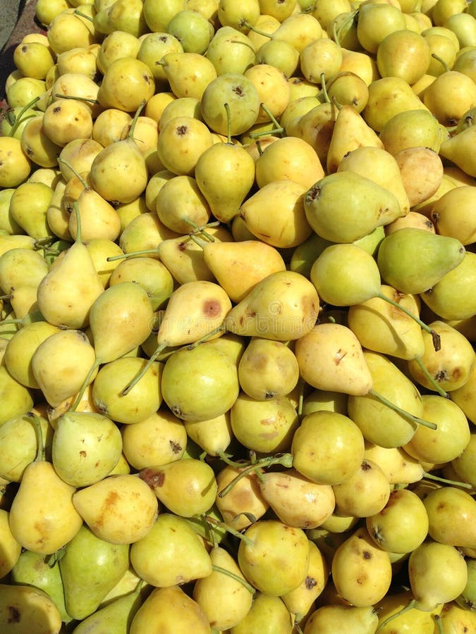 Gele peren stock afbeelding. Image of rijp, peer, kleur - 31549387