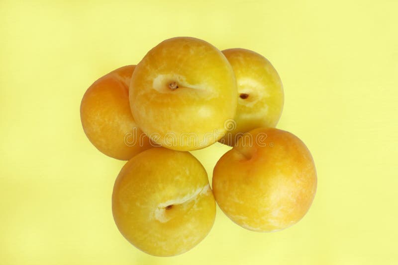 Gele pruimen stock foto. Image of voedzaam, vrucht, ongekookt - 14175498