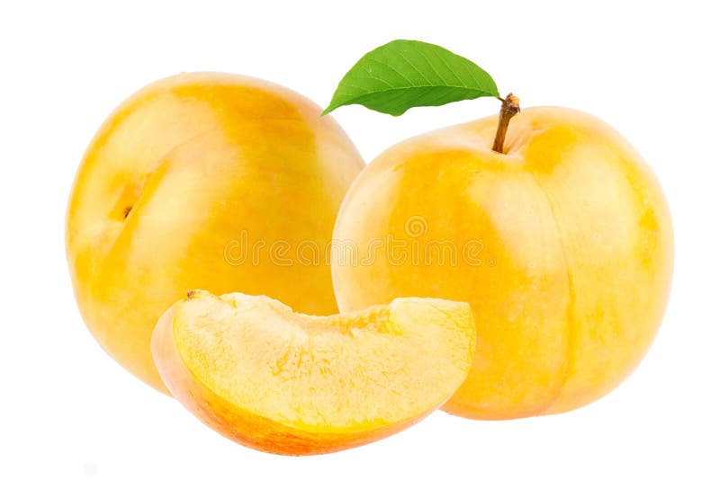 Gele pruimen stock afbeelding. Image of rijp, geel, pruim - 37691945