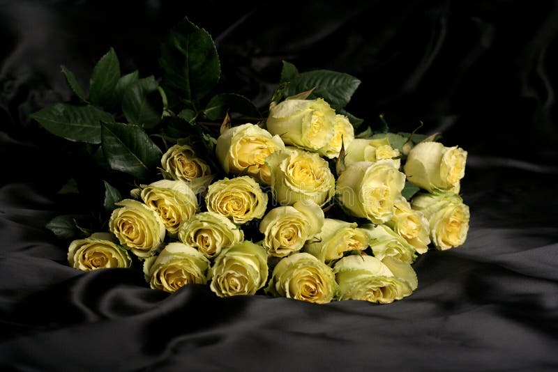 Gele rozen stock afbeelding. Image of geel, versiering - 3225639