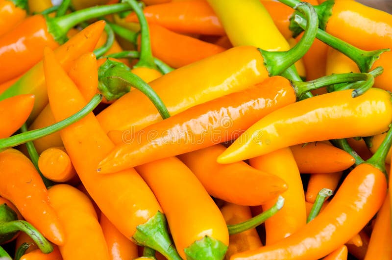 Hete gele peper stock afbeelding. Image of horizontaal - 31258609