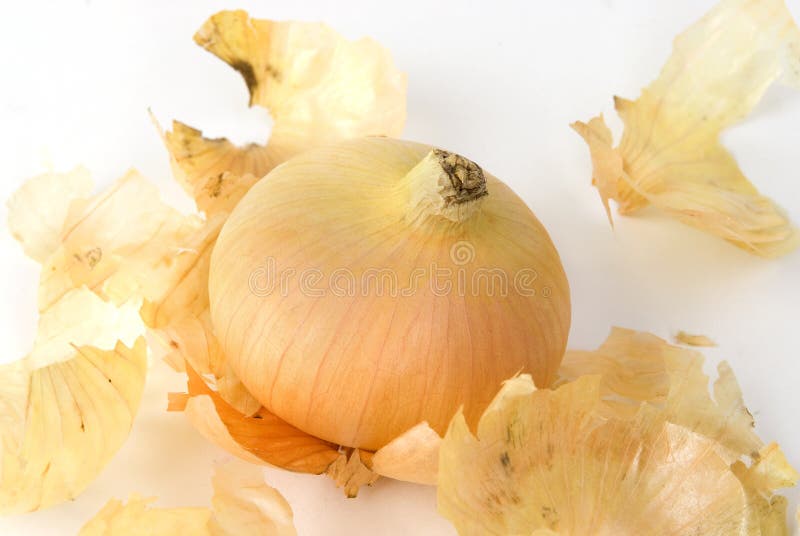 Gele ui stock foto. Image of organisch, ingrediënt, voedsel - 11067154