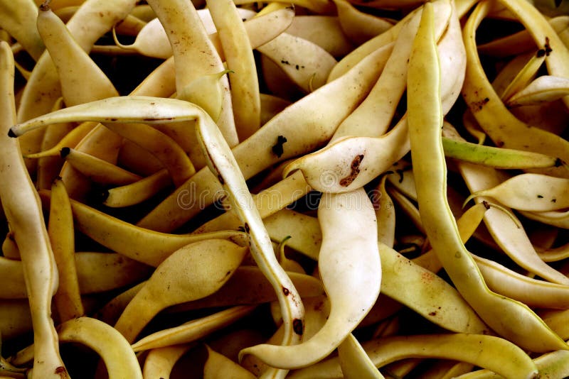 Gele Vlakke Bonen stock foto. Image of veelzijdig, vervoerprijs - 56595832